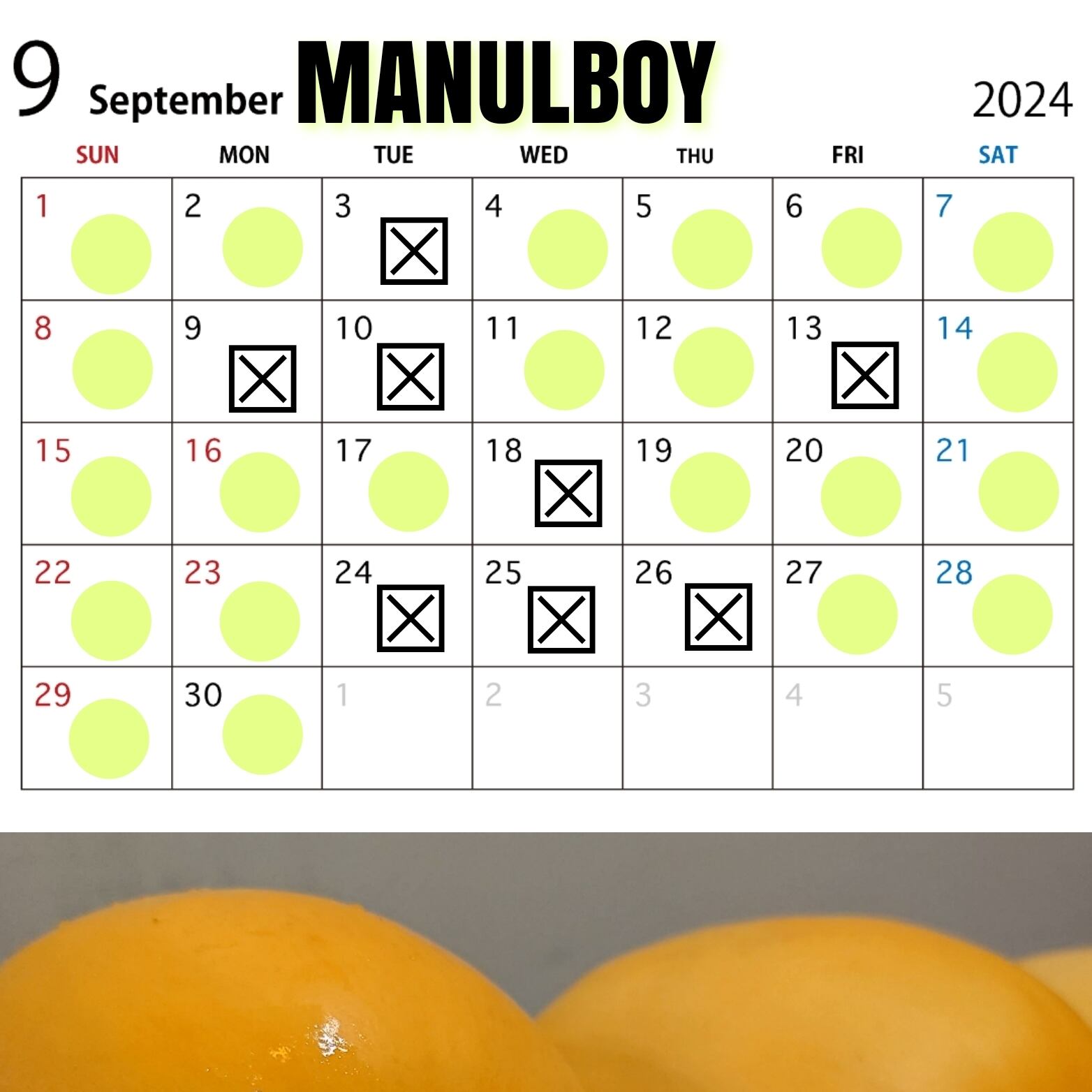 MANULBOY