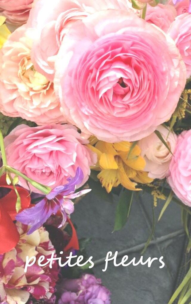 Petites fleurs