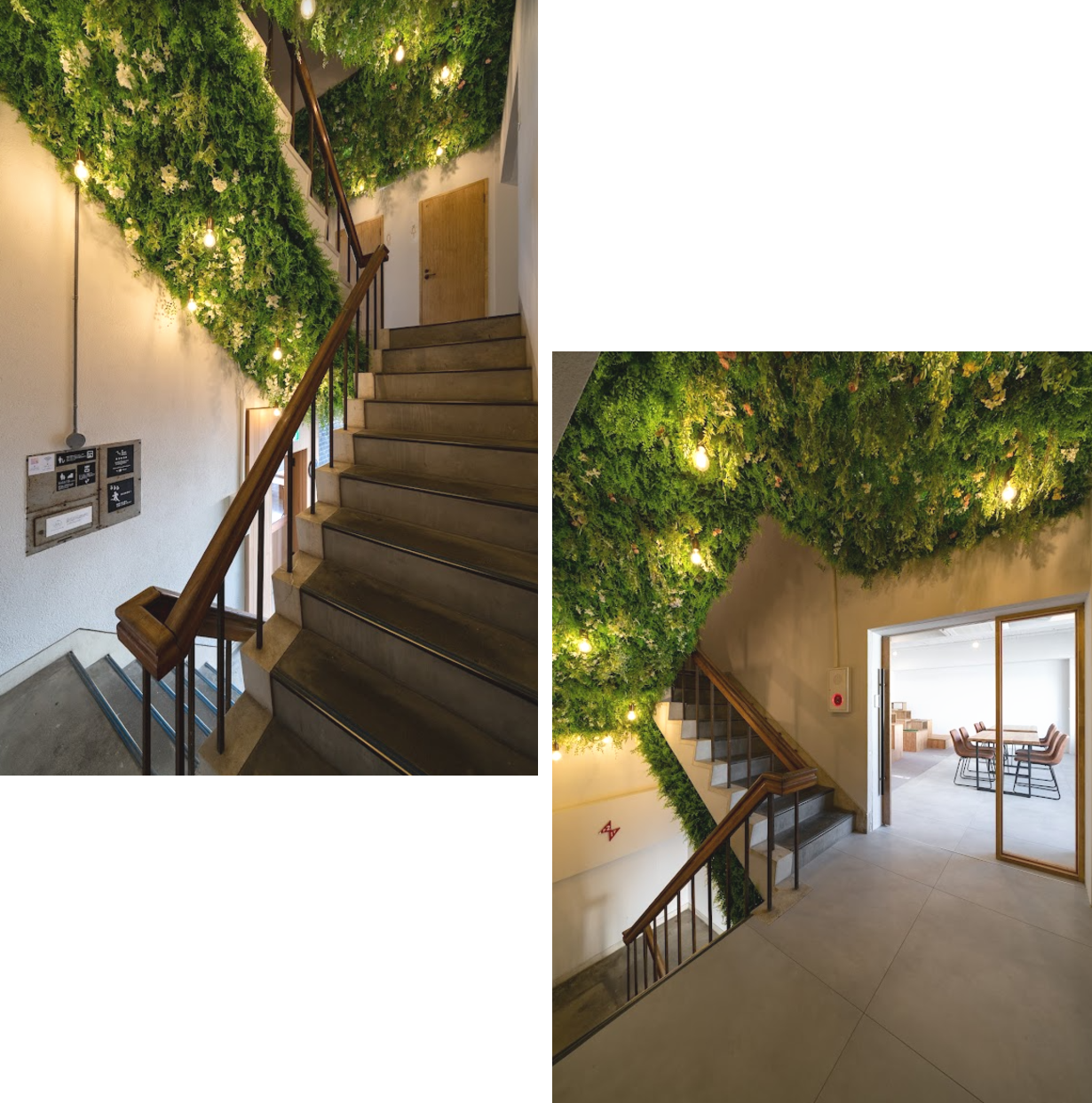 ALIGN COFFEE ROASTER