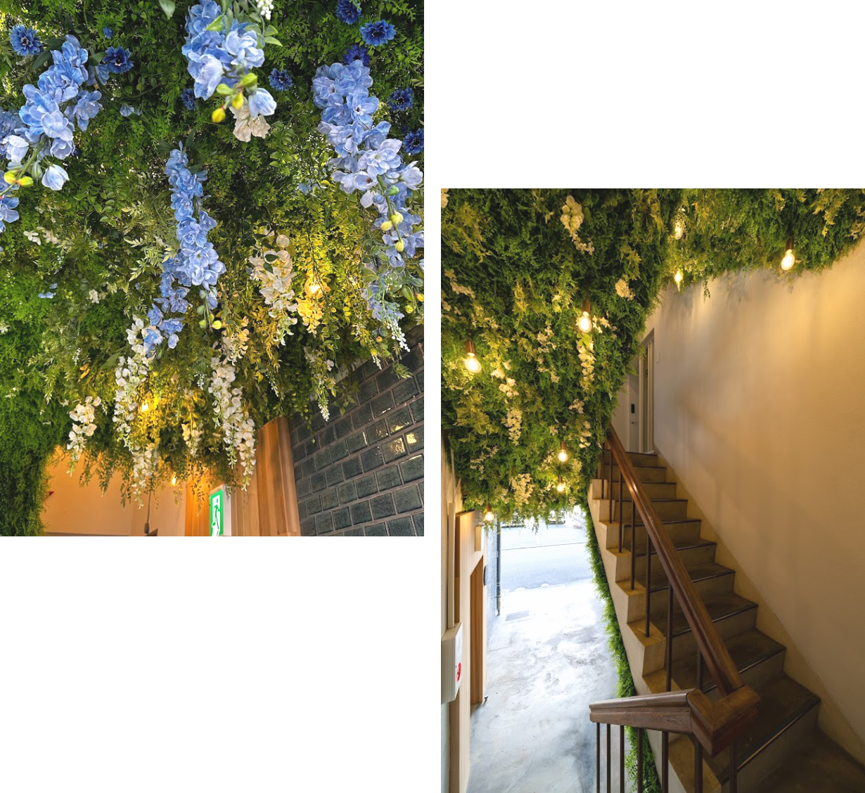 ALIGN COFFEE ROASTER