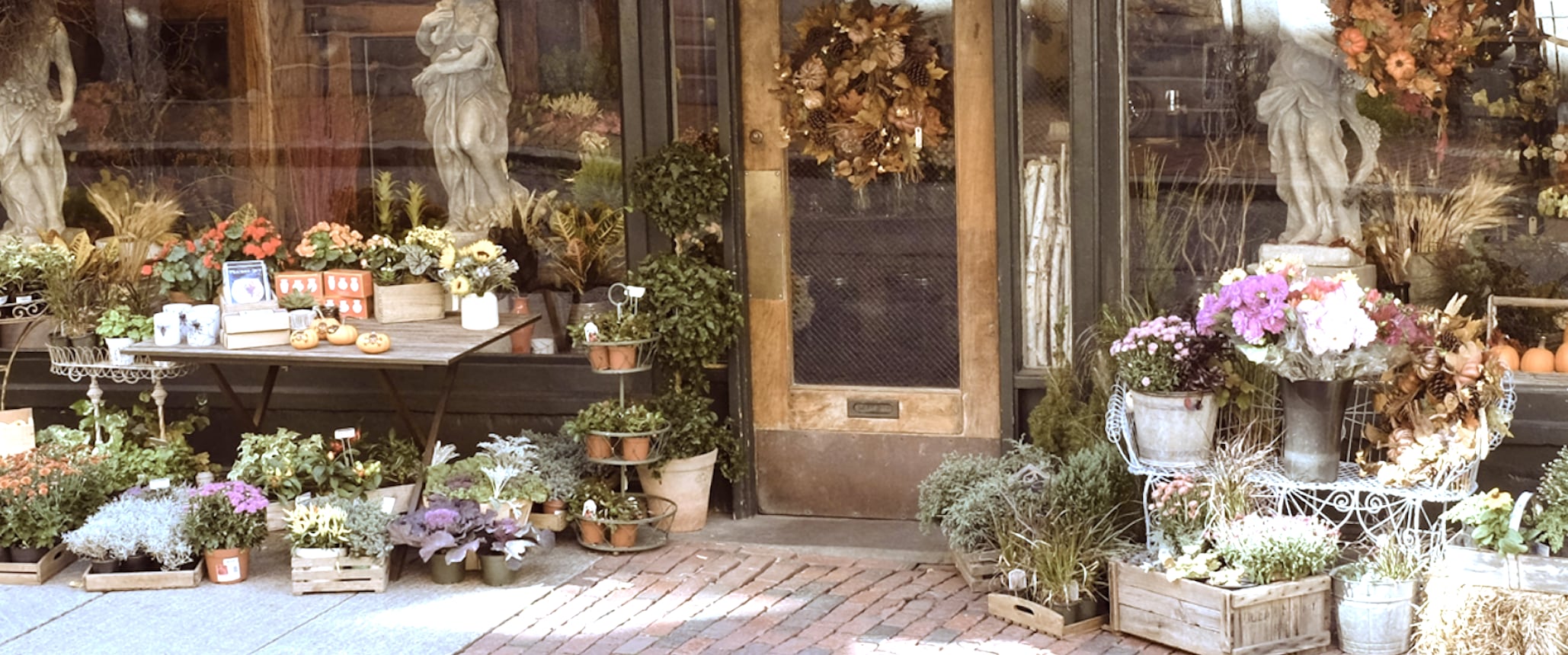 aokae FLOWER & BEAUTY shop