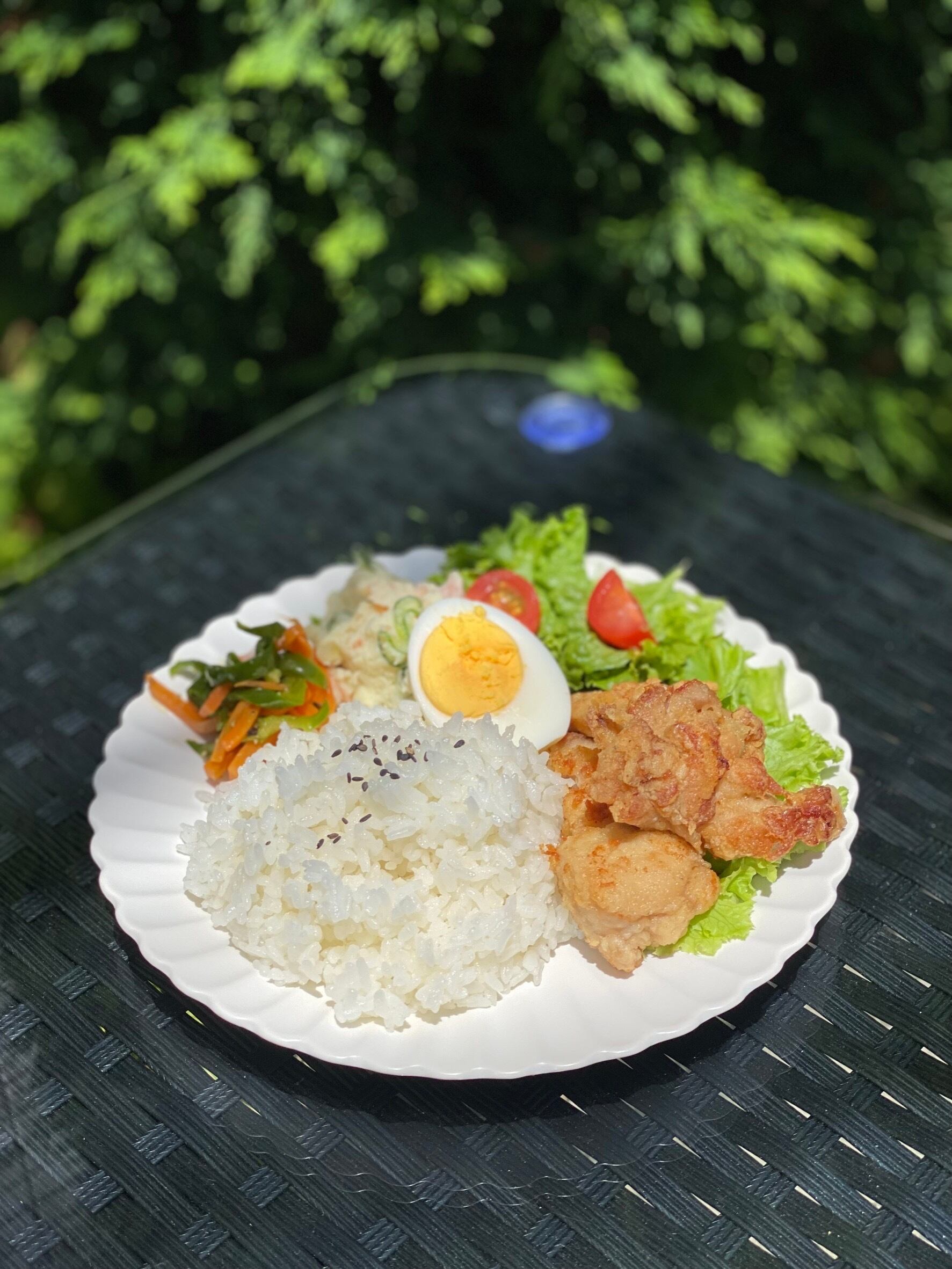 cafe | dogsalon&cafe Noce