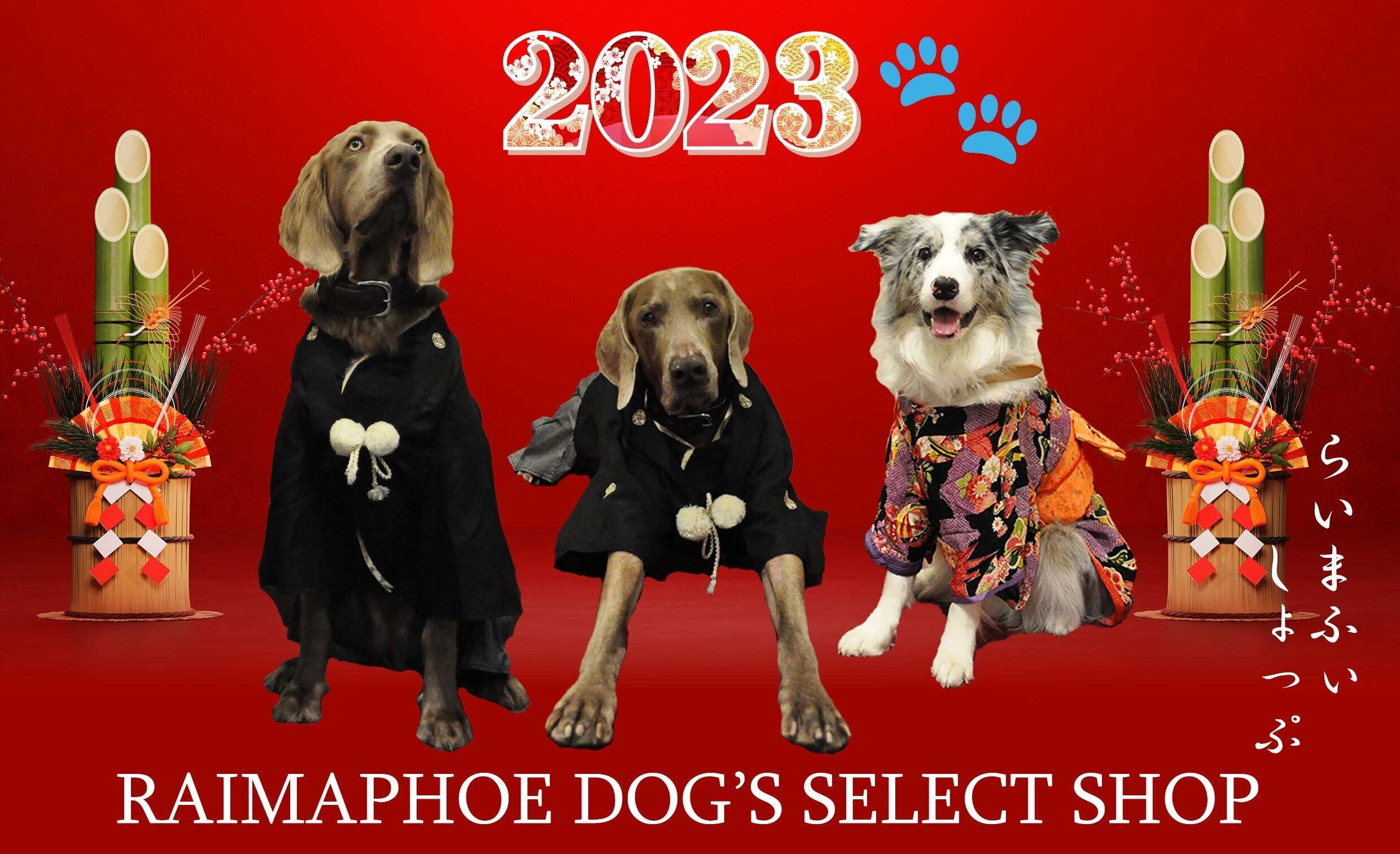 STORY | RAIMAPHOE DOGS & CATS ORGANIC SELECT SHOP