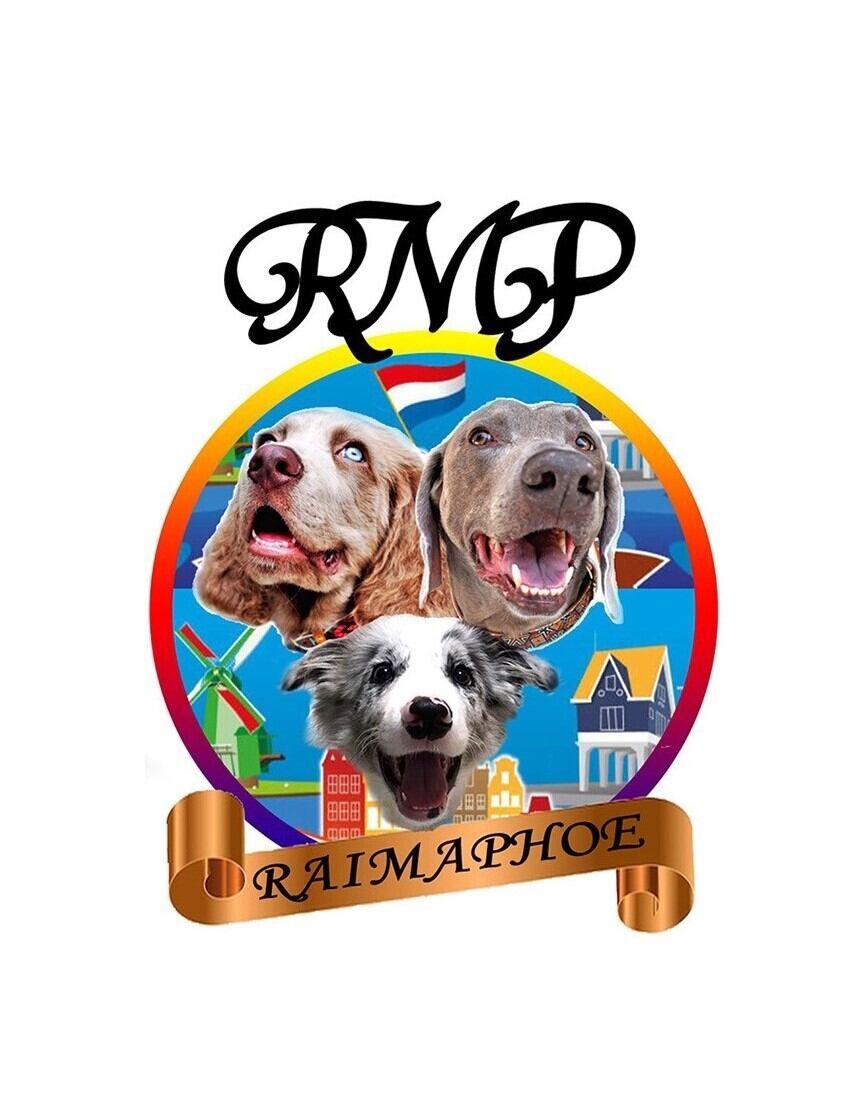 SHOP DOGS＆CATS | RAIMAPHOE DOGS & CATS ORGANIC SELECT SHOP