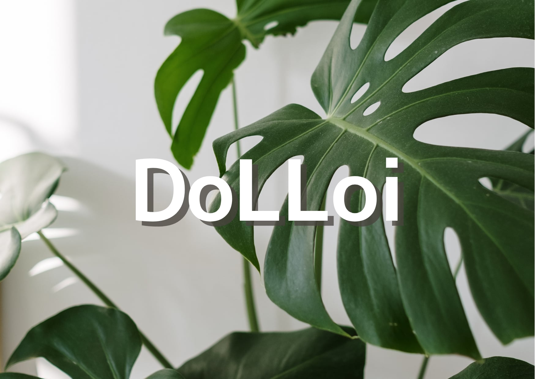 その他 | dolloi