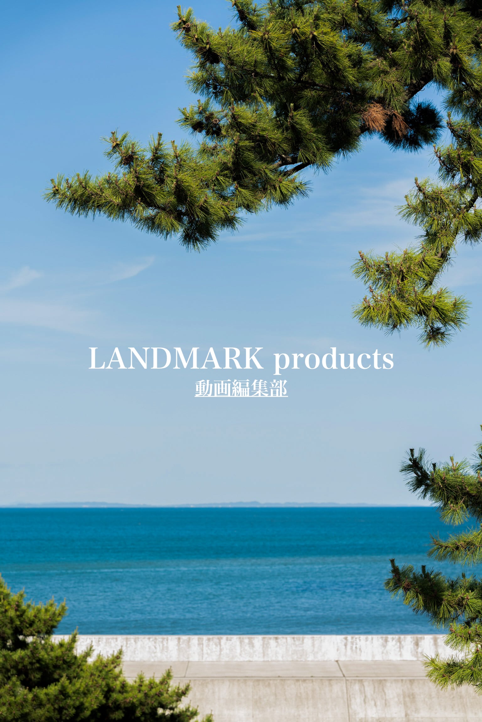 LANDMARK products 動画編集部
