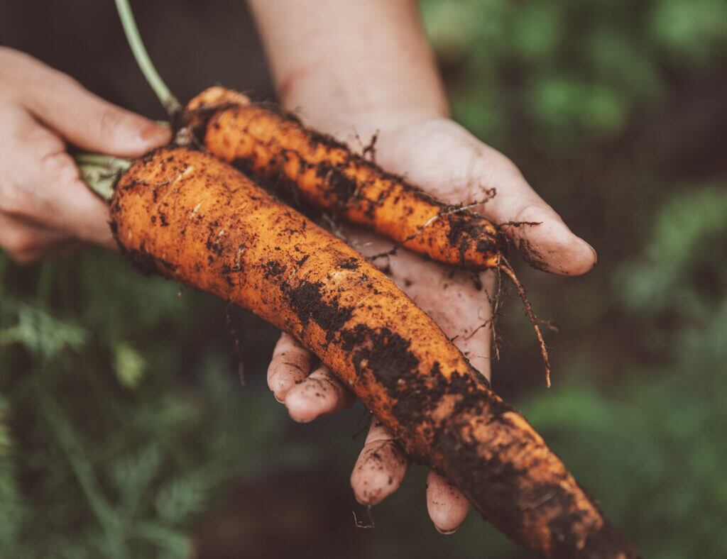 ABOUT | fuud library