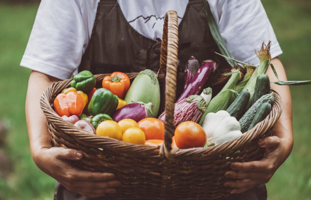 ABOUT | fuud library