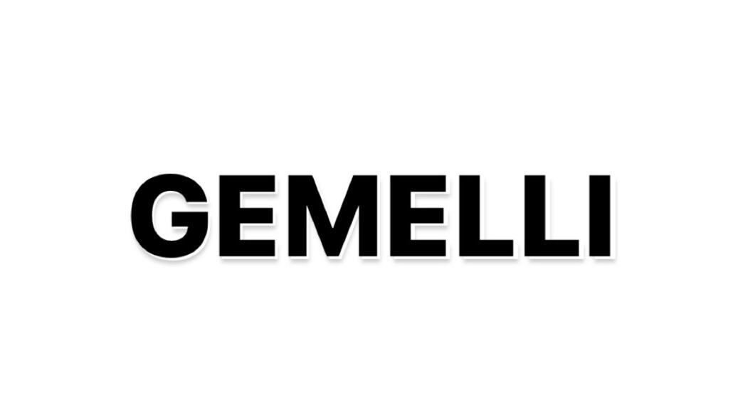 CONCEPT | gemelli