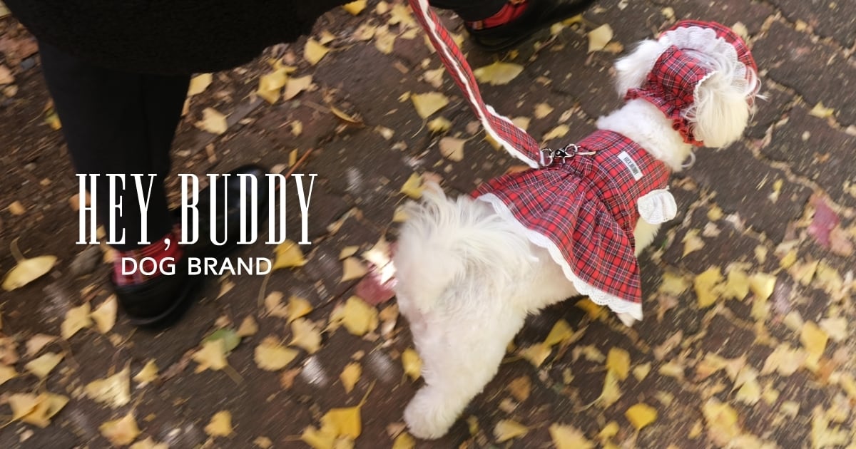 バギーグッズ | HEY,BUDDY