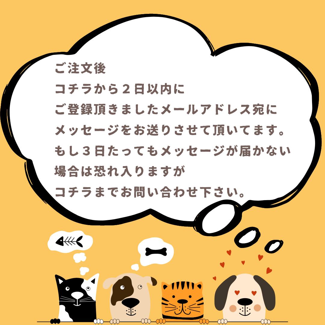 kapukapu_dog