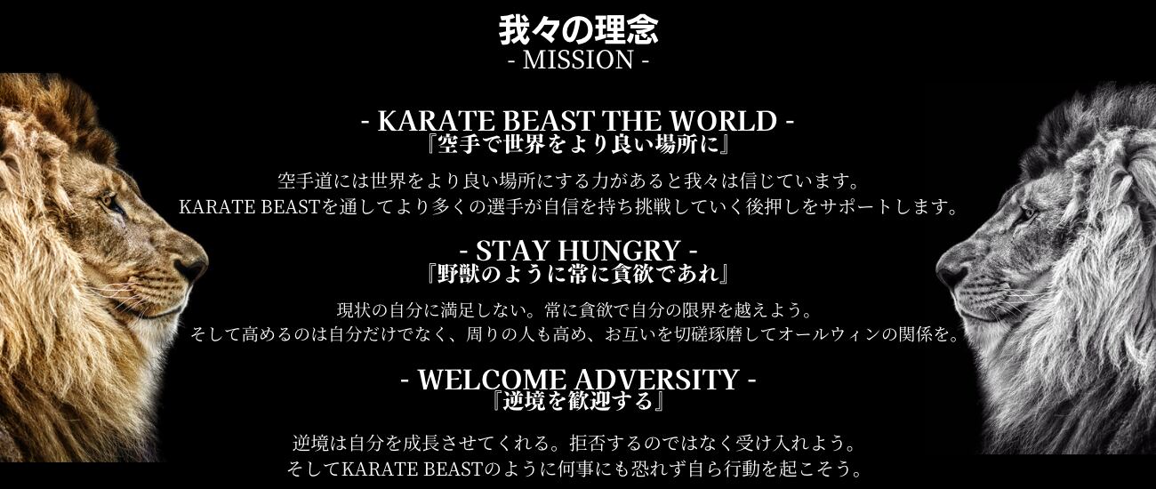 ABOUT | KARATE BEAST