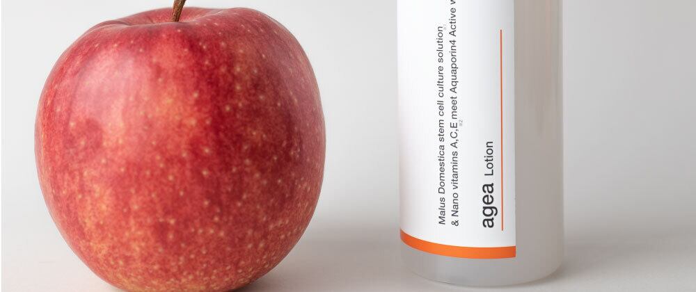 agea 公式 online Store - エイジア オンライン ストア