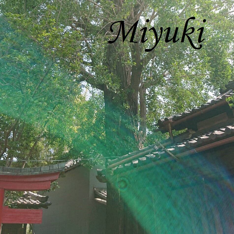 Miyuki