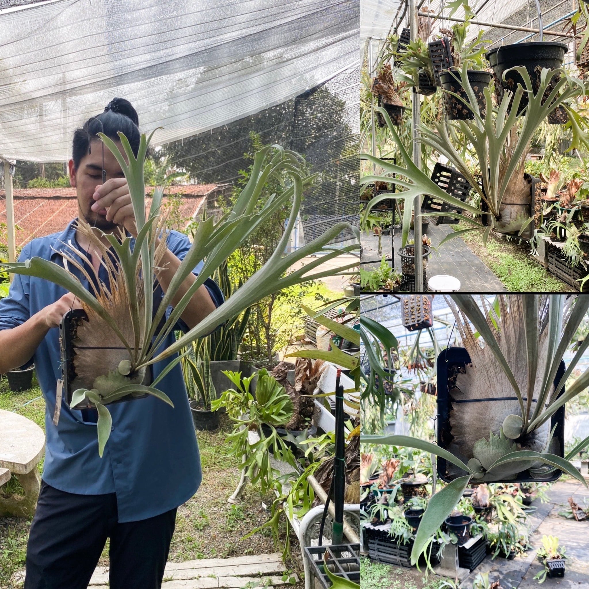 オーダーカタログⅢ | naturefix