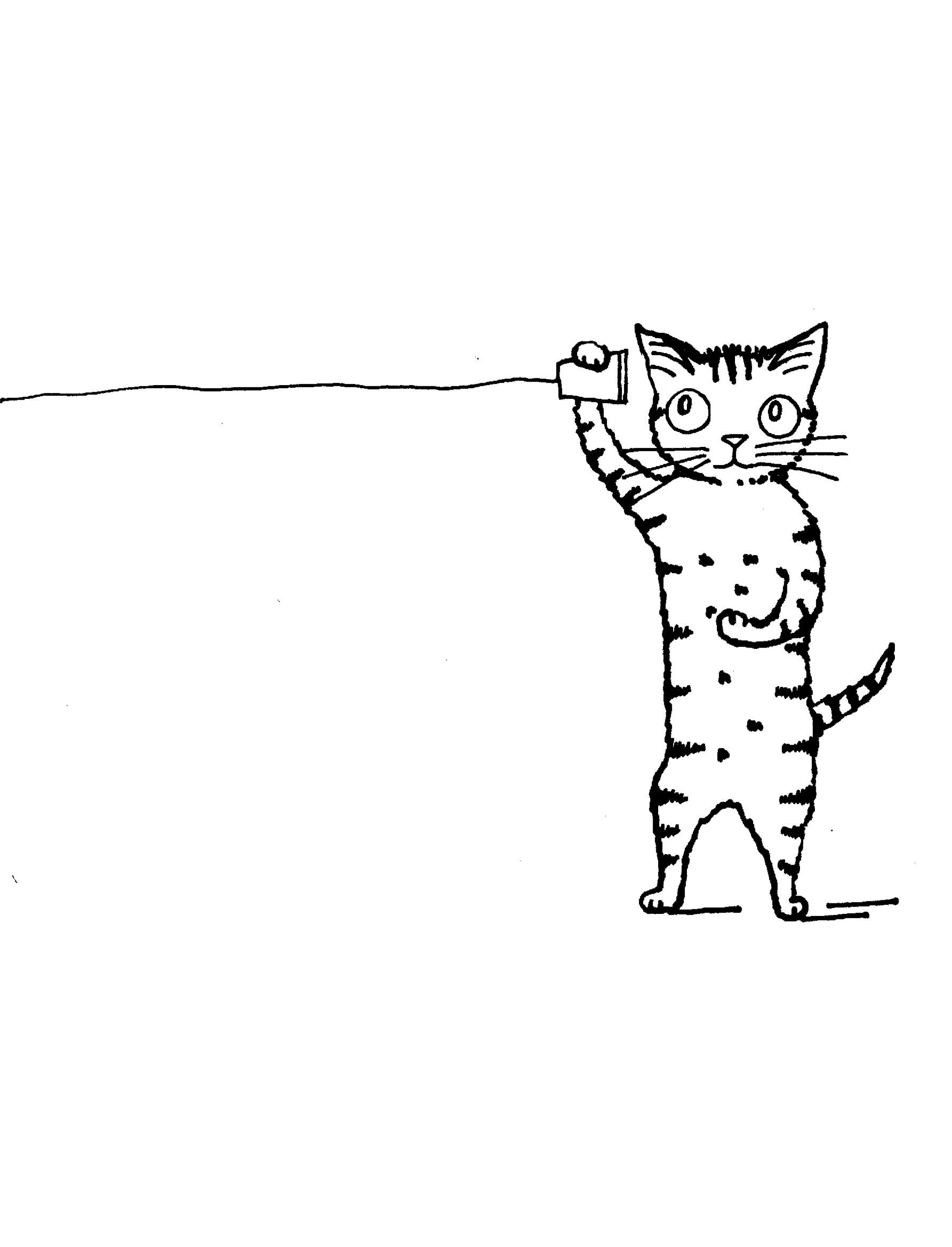 ねこしゅうかい