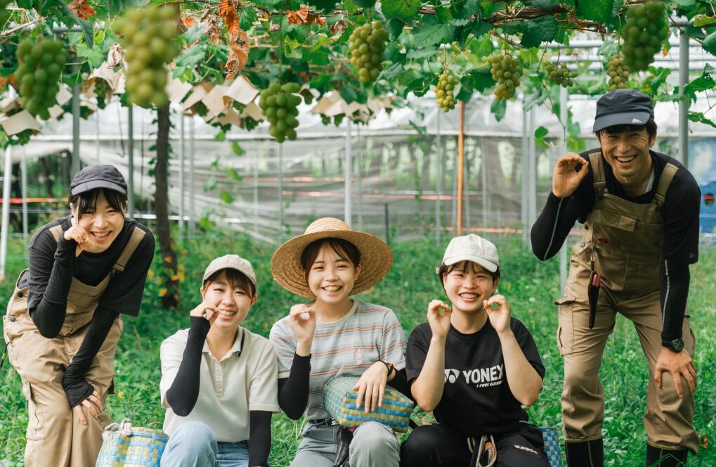 oboco grapes online shop