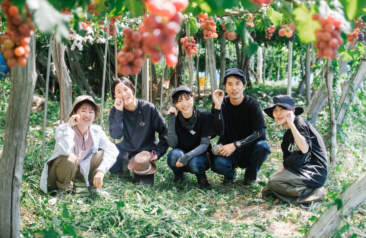 oboco grapes online shop