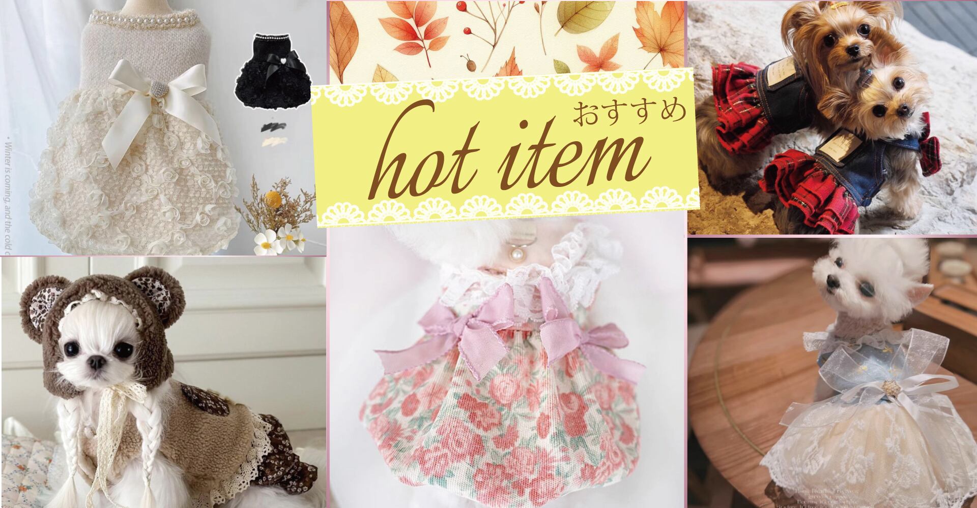 エレガントな犬服ショップ【MOCO】