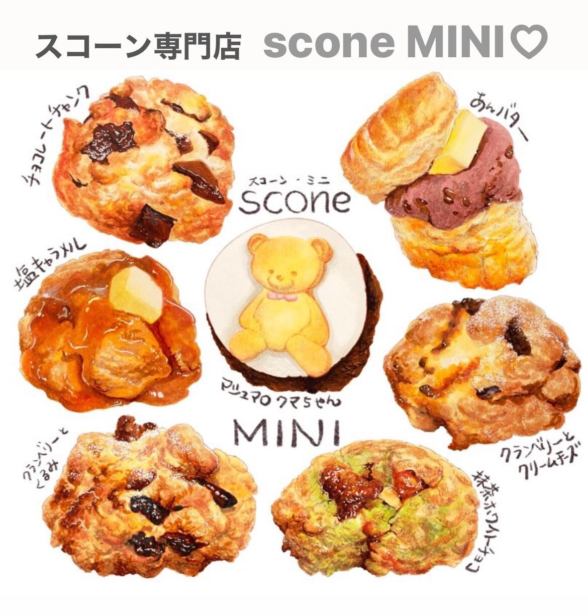ABOUT | scone MINI
