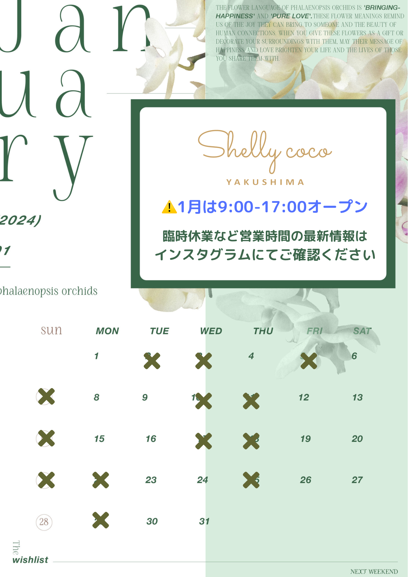 Shelly coco -シェリーココ-