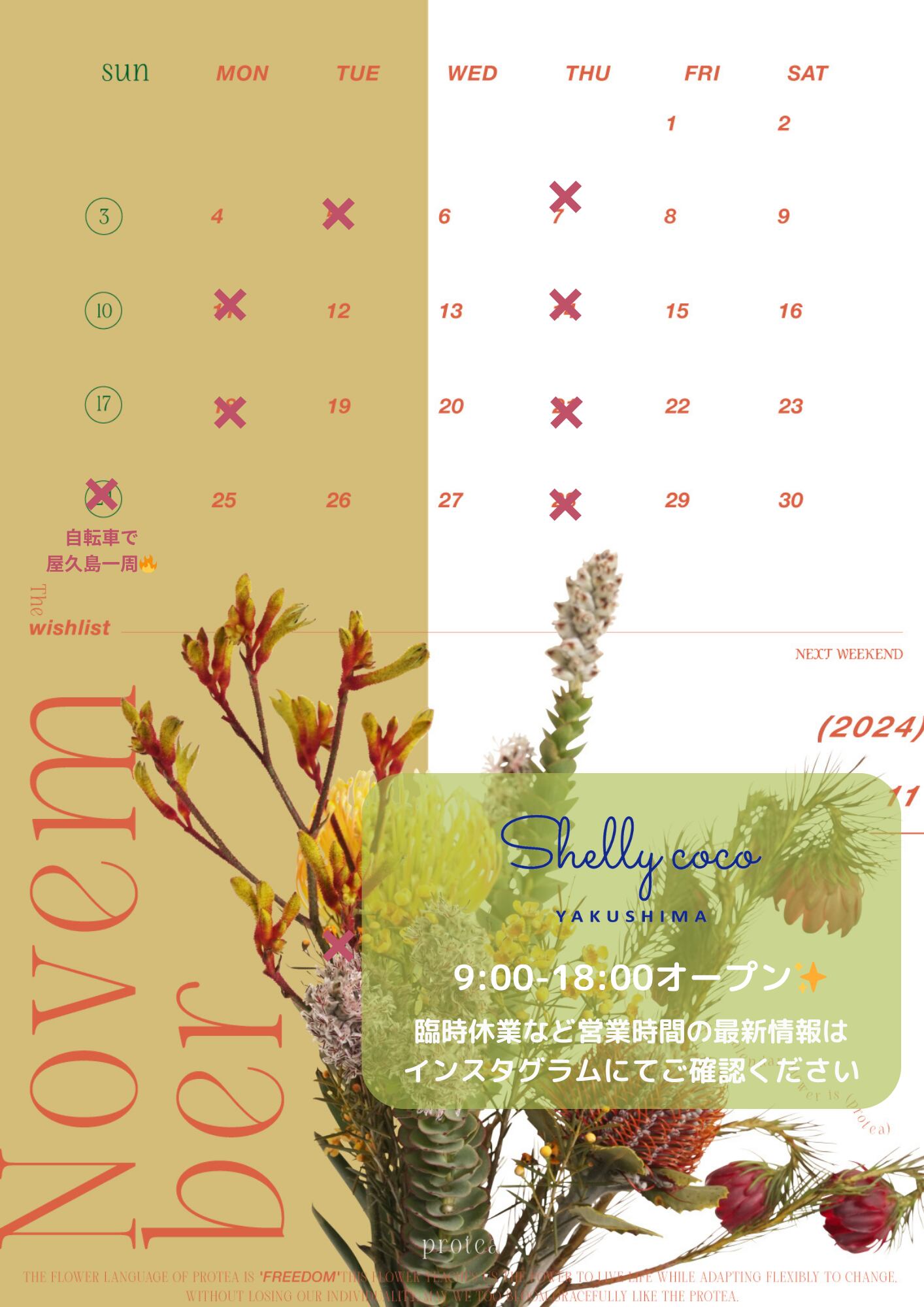 営業日 | Shelly coco -シェリーココ-