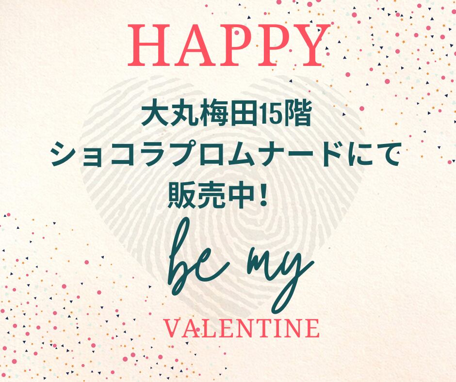 カカオ豆（未焙煎）1kg／袋 ダクラクの農園より直接お届け | Sungela