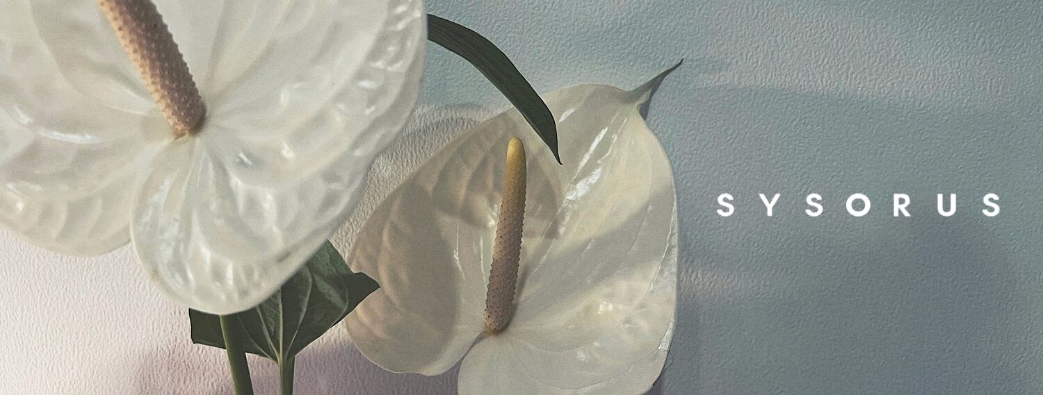 SYSORUS