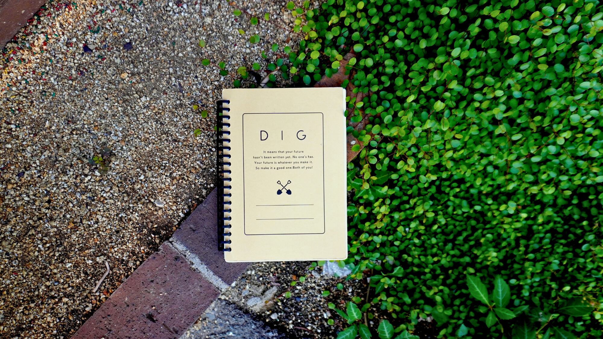 DIG公式オンラインショップ