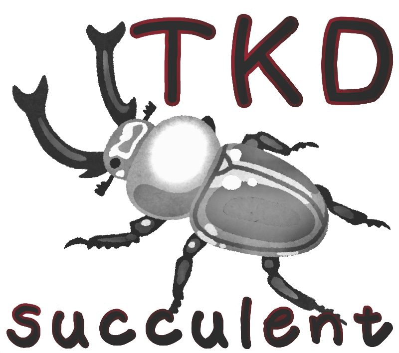 カキコ等 Tkd Succulent
