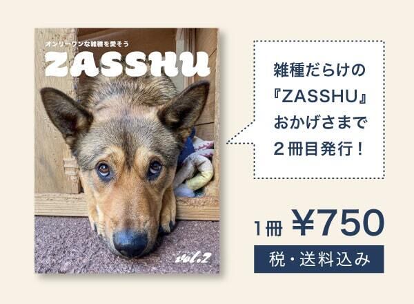 BLOG | ZASSHU