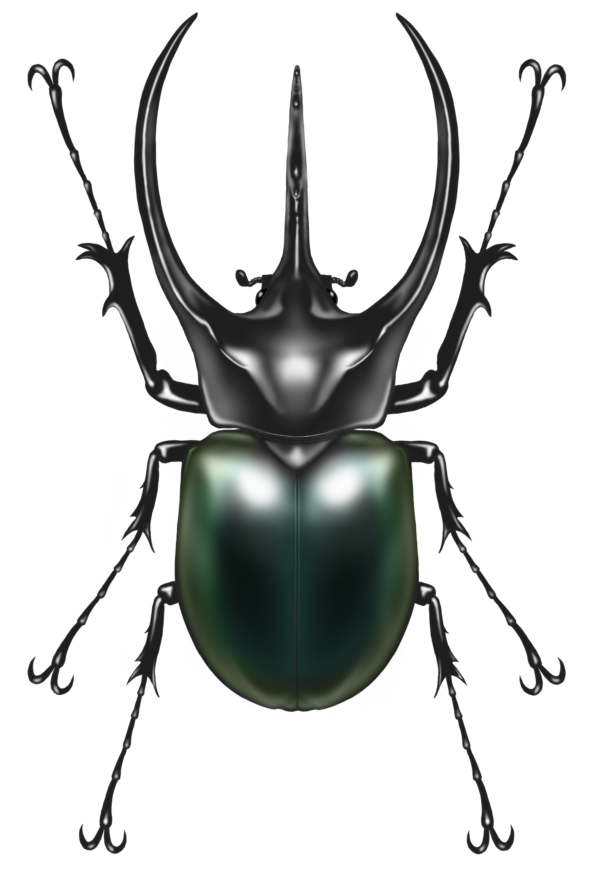 春ですな🌸 | Doodle Shop Apollo