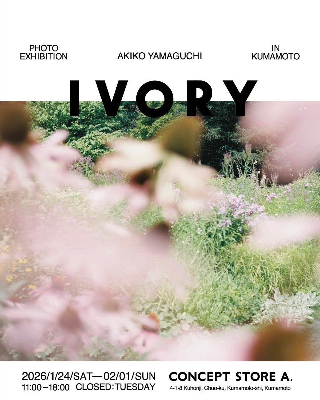 【写真展のお知らせ】IVORY_山口亜希子さん | CONCEPT STORE A.