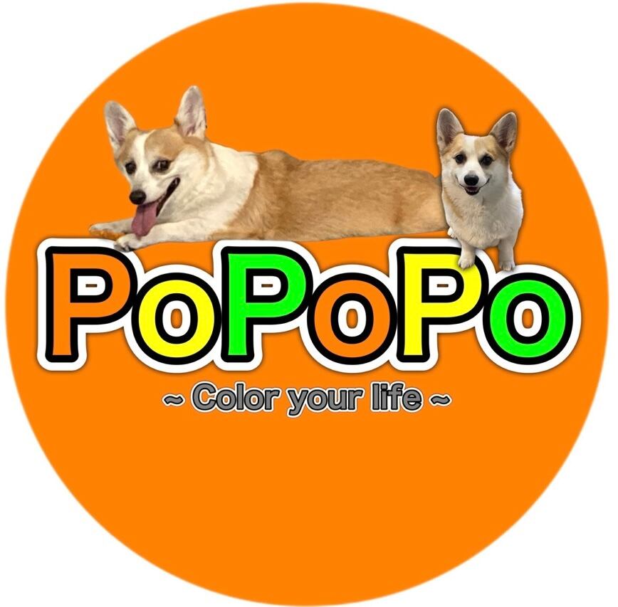 PoPoPo ~ color your life