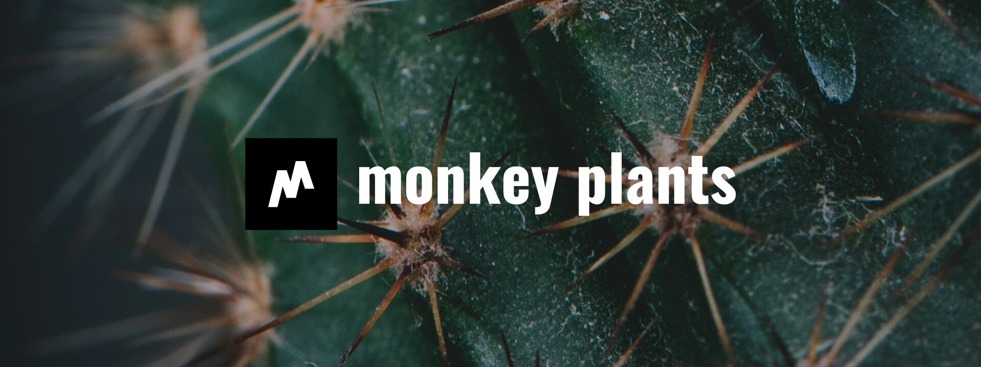 ABOUT | monkeyplants