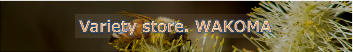 Variety store. WAKOMA