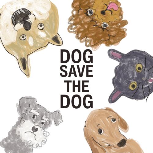 DOG SAVE THE DOG™️