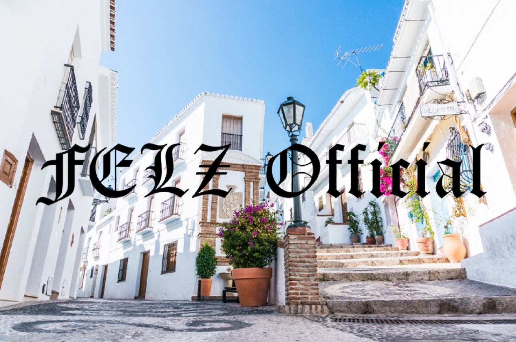 felz（フェルズ）online