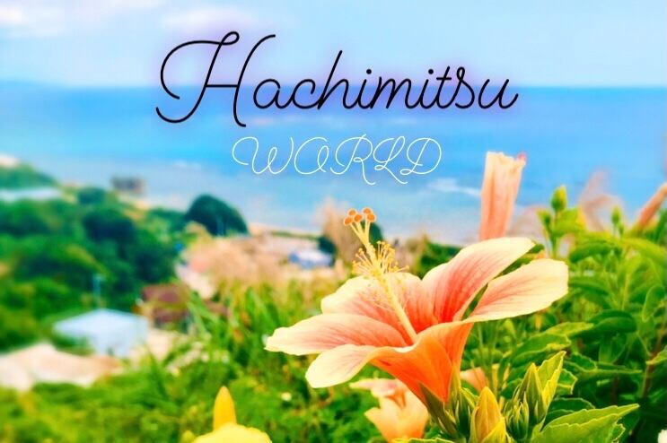 Hachimitsu World