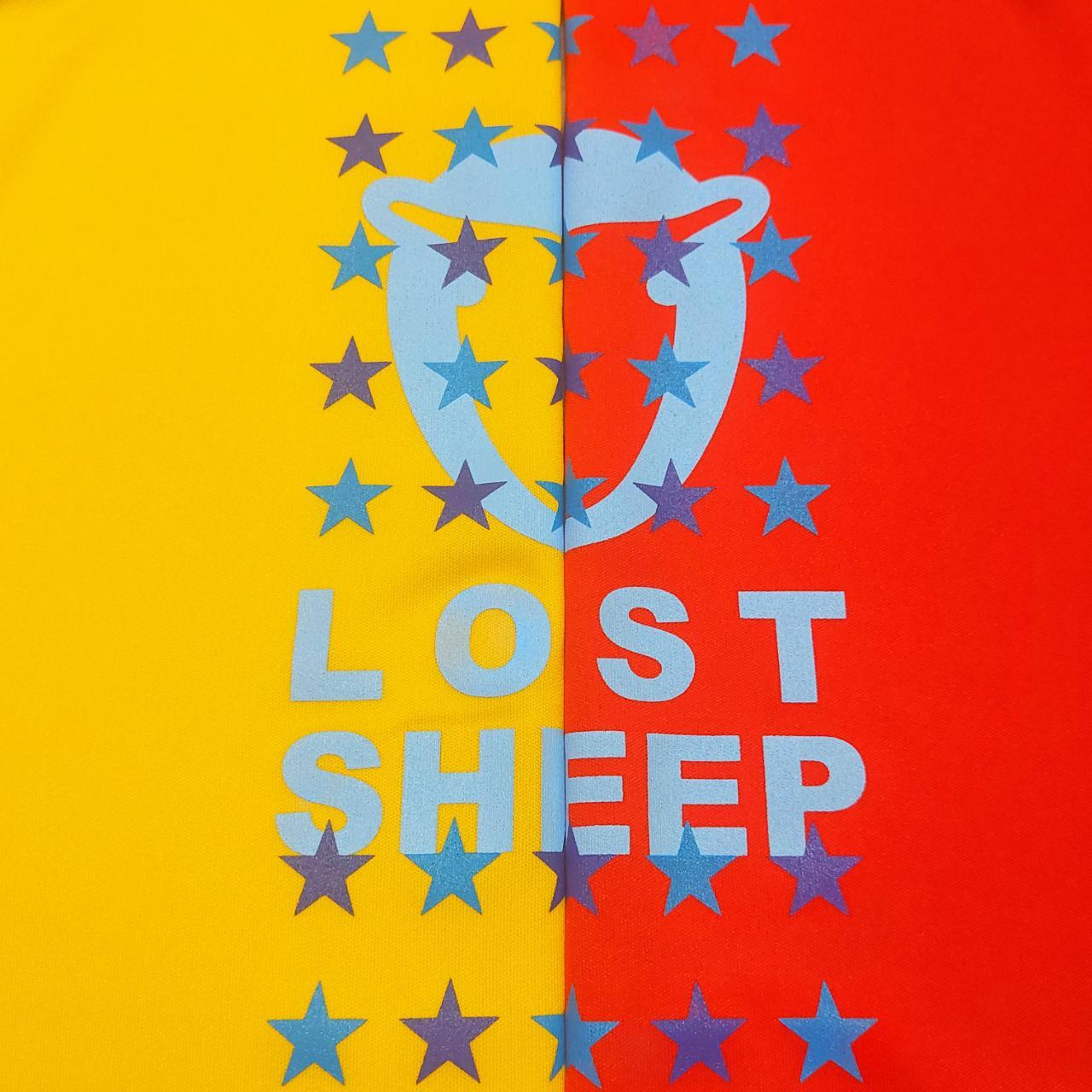 LOST SHEEP