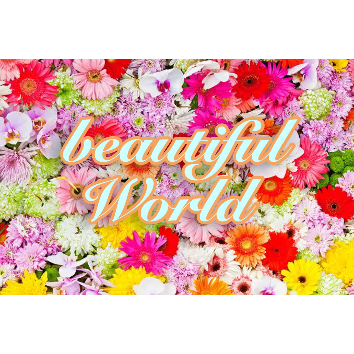 Beautiful World beautiful-world