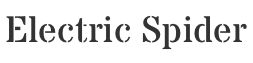 Electric Spider