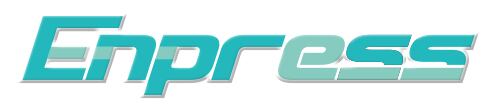 特殊タイプ | Enpress