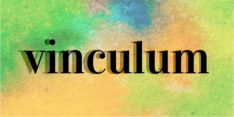 vinculum