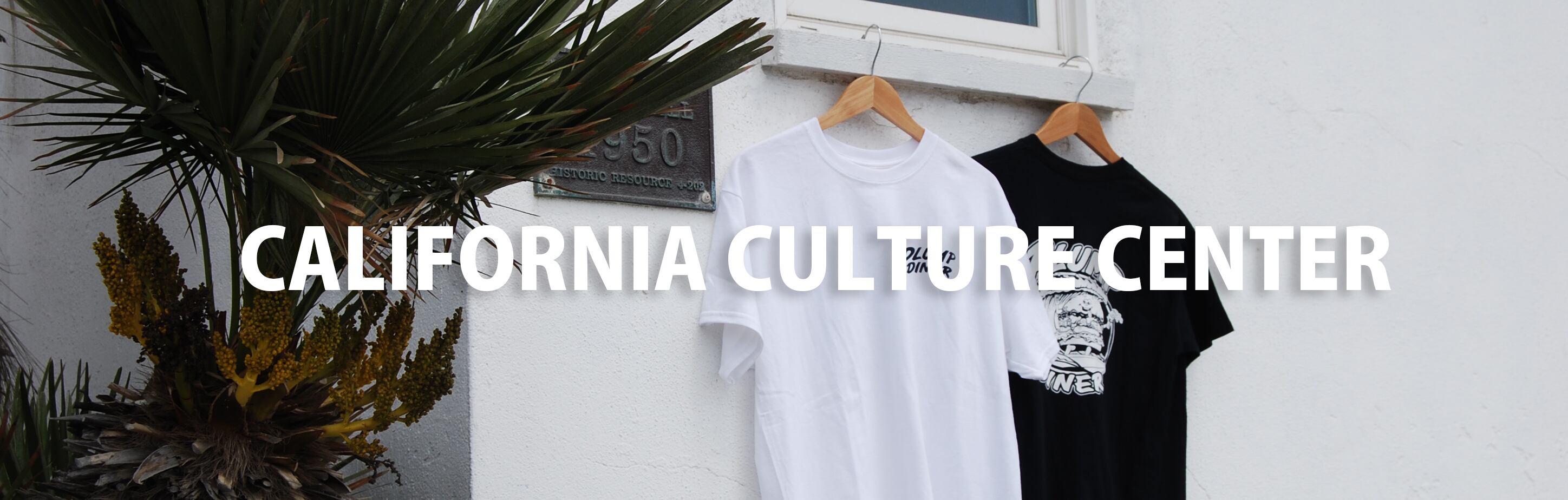 CALIFORNIA CULTURE CENTER