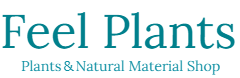 熱帯植物 Feel Plants