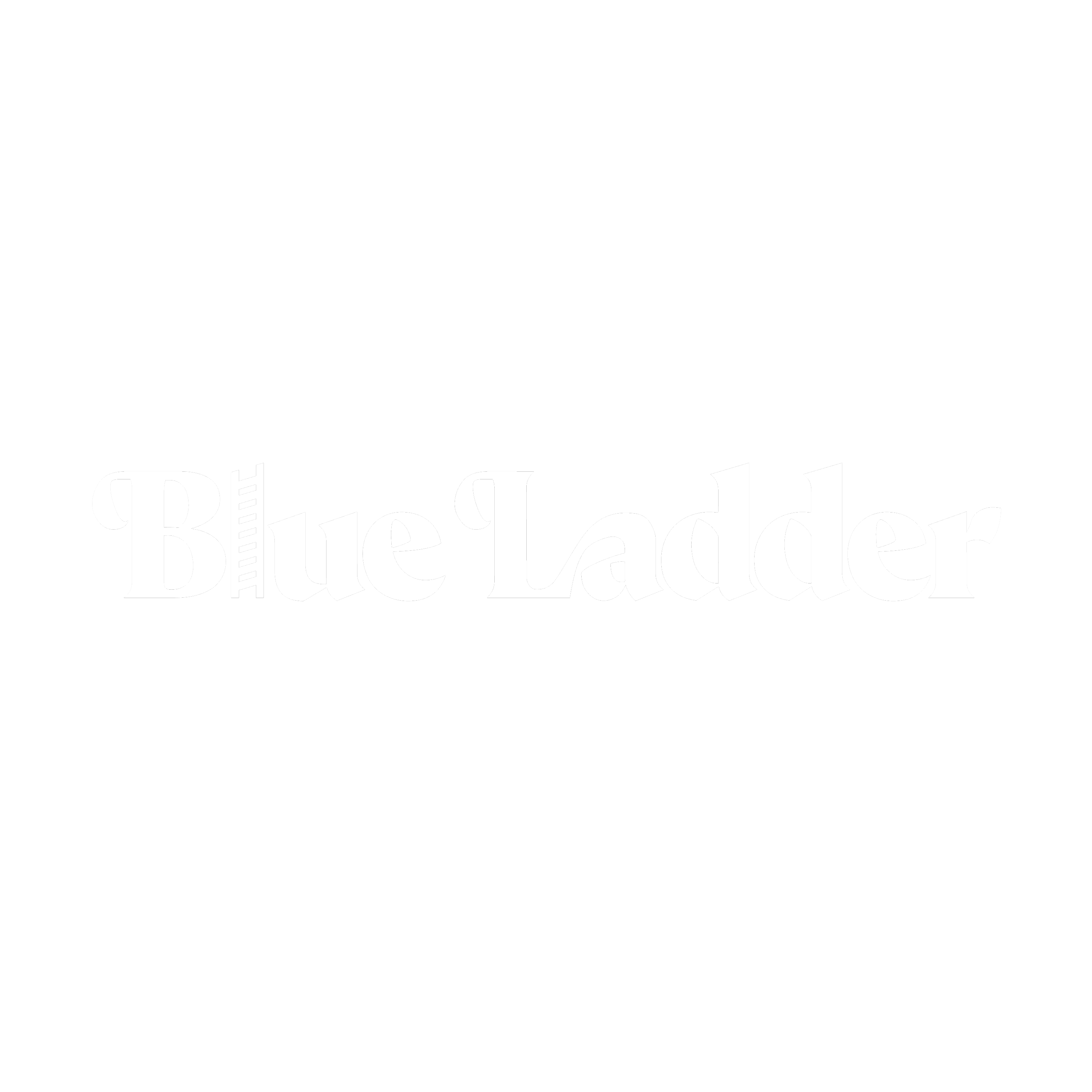Blue Ladder web shop