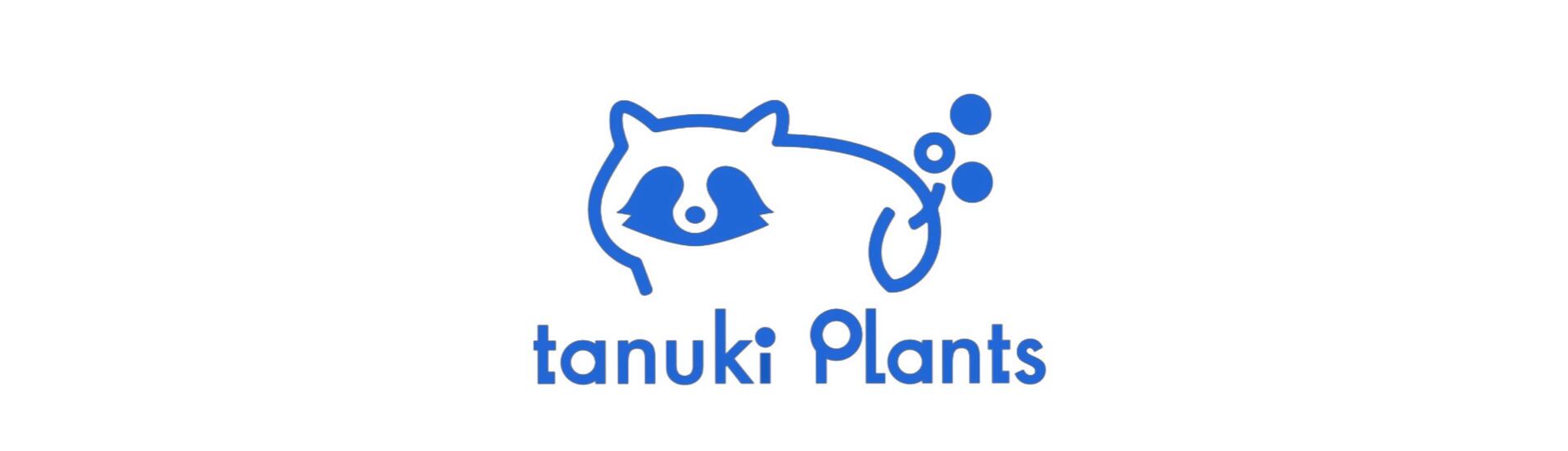 Moon pot | tanuki plants(タヌキプランツ)