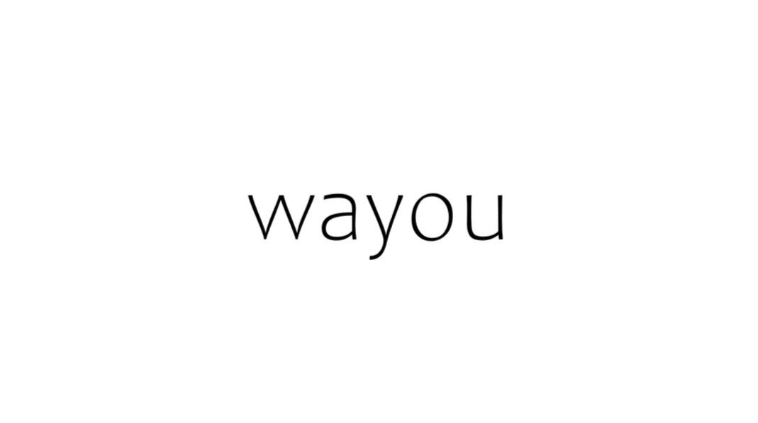 wayou