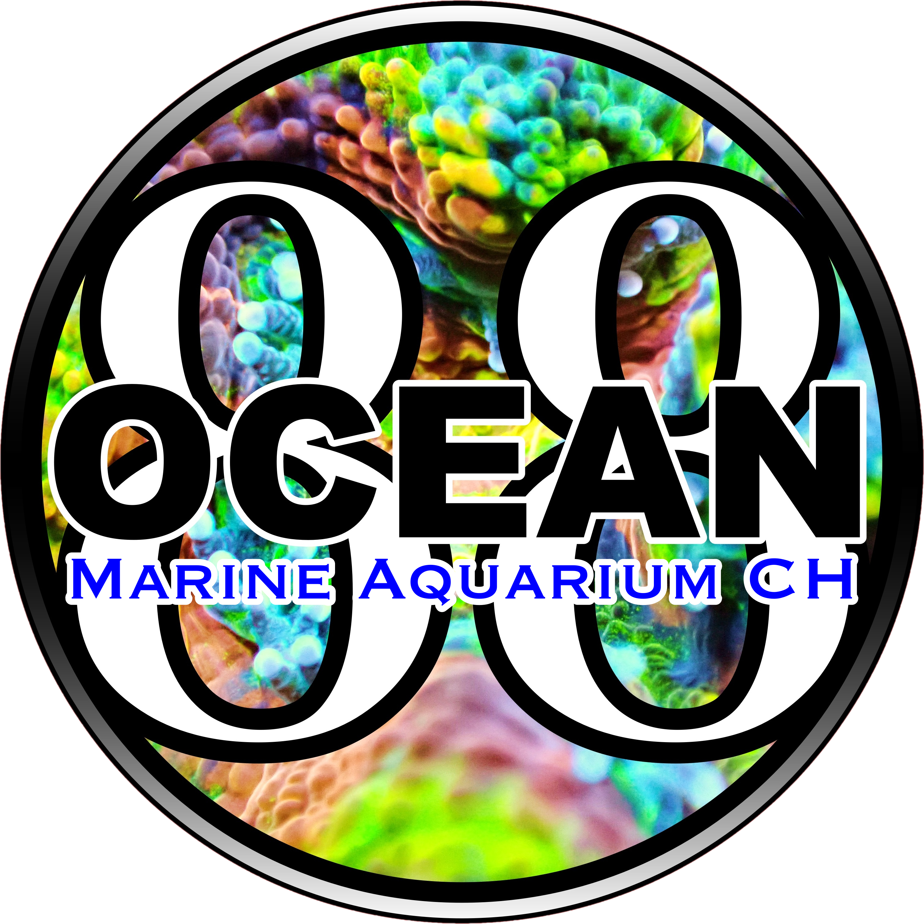 LPS | OCEAN FRAG